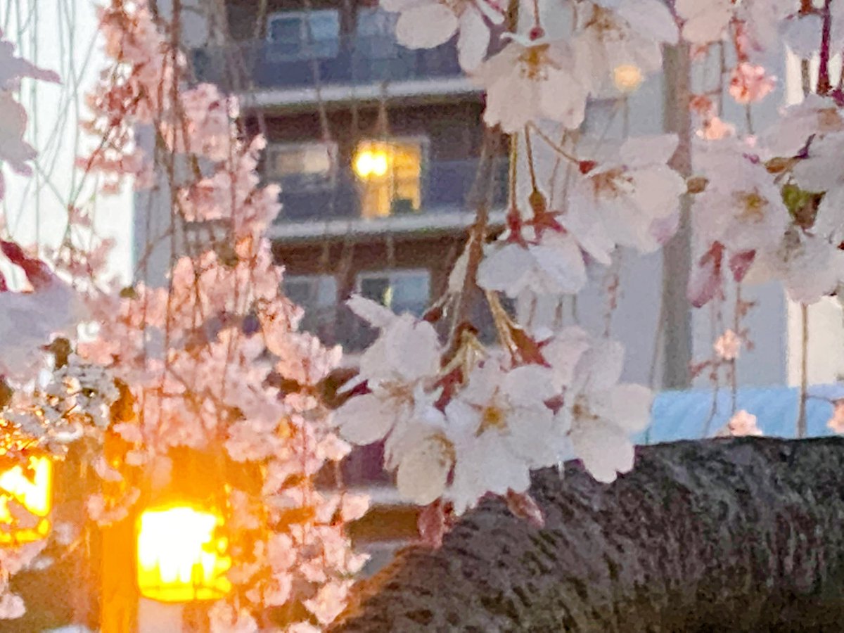 K. Yoshimatsu(@k_yoshimatsu) - Twilog