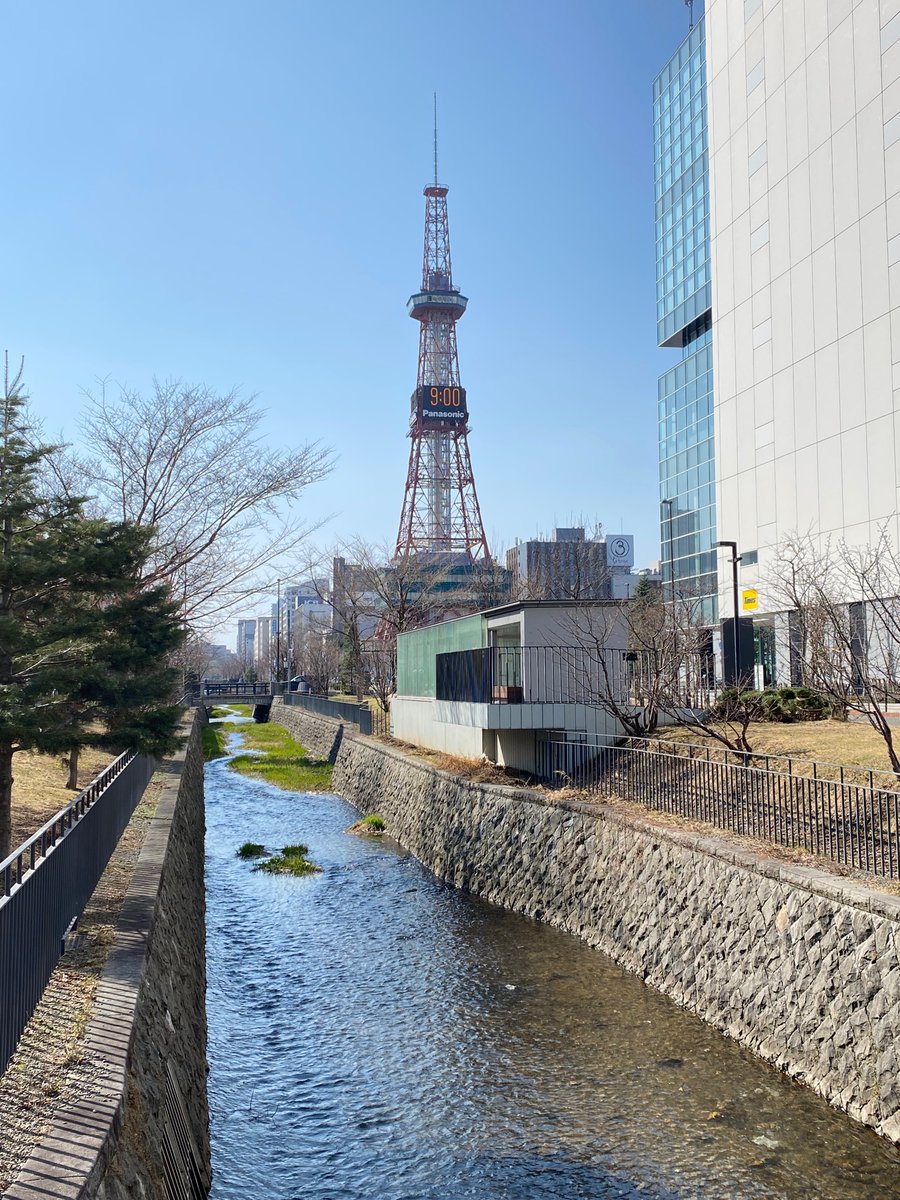 【公式】AIRDO（エア・ドゥ）｜北海道の翼 on Twitter: "おはようございます(*´ω`*) 9:00ちょうどにテレビ塔の写真が撮れました📷🌼🌼 今日の札幌は、穏やかなお天気です🌸"