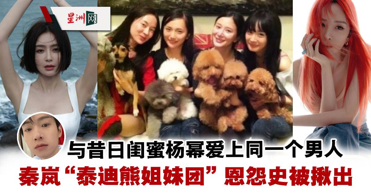 Sin Chew Daily 星洲日報 On Twitter 谈个恋爱什么旧账都被翻出来清算。 杨幂 秦岚 魏大勋 泰迪熊姐妹团