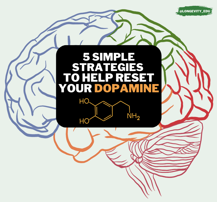 5 simple strategies to help you reset your dopamine levels: - المسلسل ...