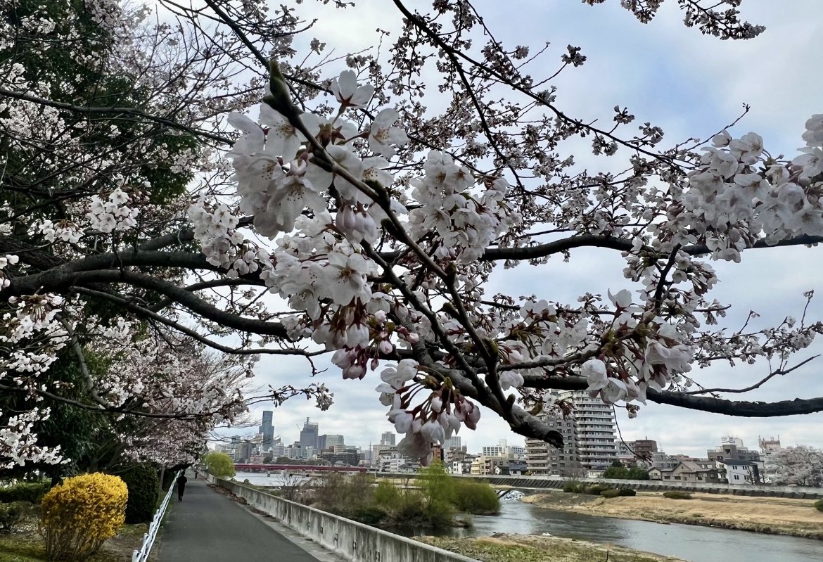 Ayako Kimishima(@kimi_aya_) - Twilog