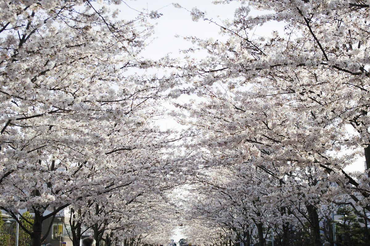 Kentaro Kitagawa(@cdbk) - Twilog