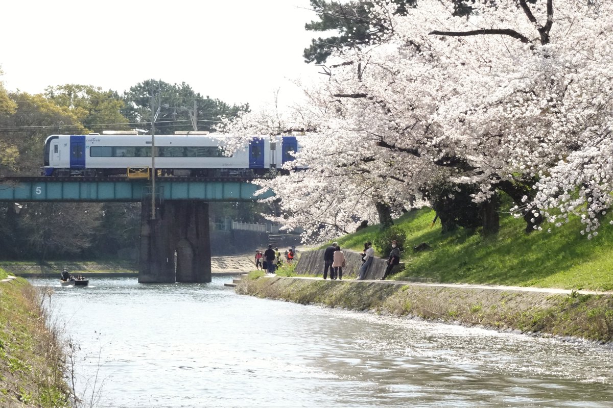2nd-train 鉄道写真ニュースサイト on Twitter: "RT @pr16am: 2023 3/30 名鉄2000系ミュースカイ 2009f 出場試運転 車体と台車がキレイでした ...