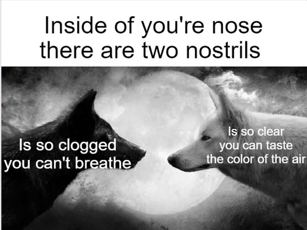 On Twitter I Have Two Wolves Inside Of Me