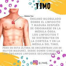 Los tumores no son dañinos y no matan a nadie, a no ser que estén ...