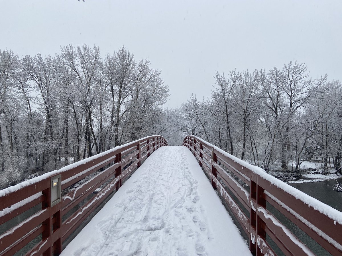 Vasili Varlamos on Twitter: "Snowy morning in Boise! Snow is still coming down all over the ...