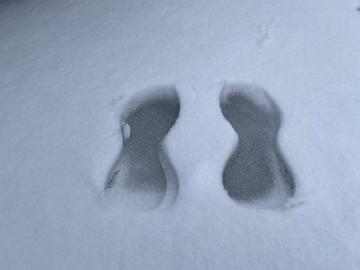 Vasili Varlamos on Twitter: "Snowy morning in Boise! Snow is still coming down all over the ...