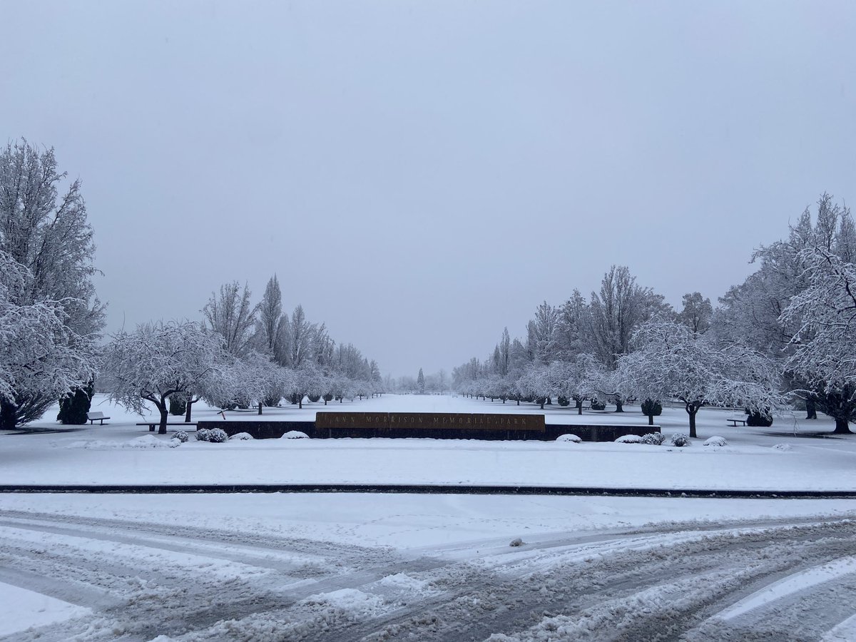 Vasili Varlamos on Twitter: "Snowy morning in Boise! Snow is still coming down all over the ...