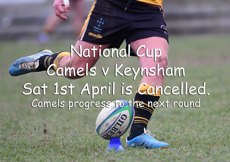 Wadebridge Camels Rfc Fireworks Clipart