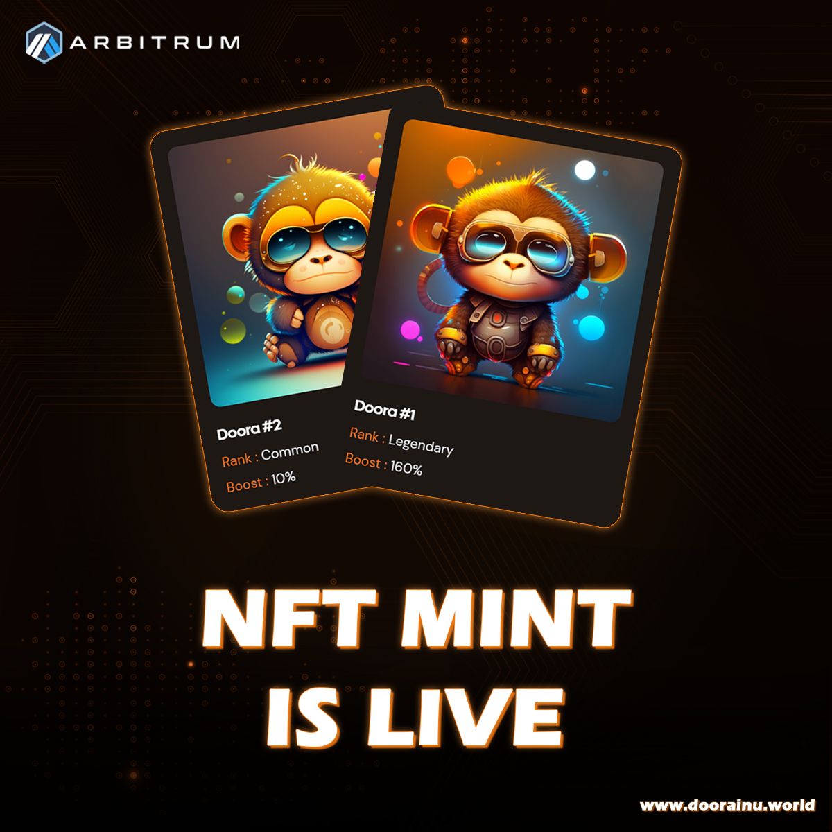 Doora Inu World (💙,🧡) on Twitter: "🎁 Hold a Doora NFT and get exclusive ...