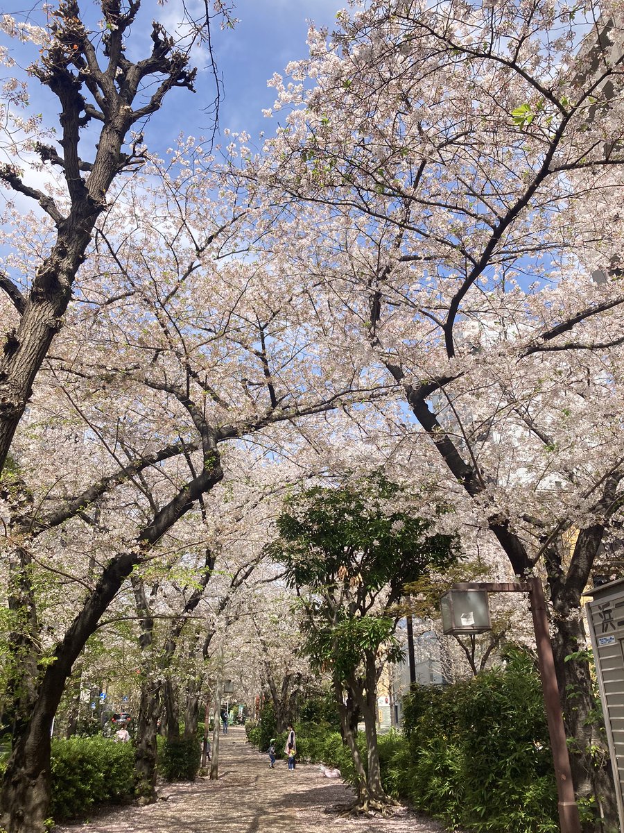 新川貴詩(@shinkawa_takash) - Twilog (ツイログ)