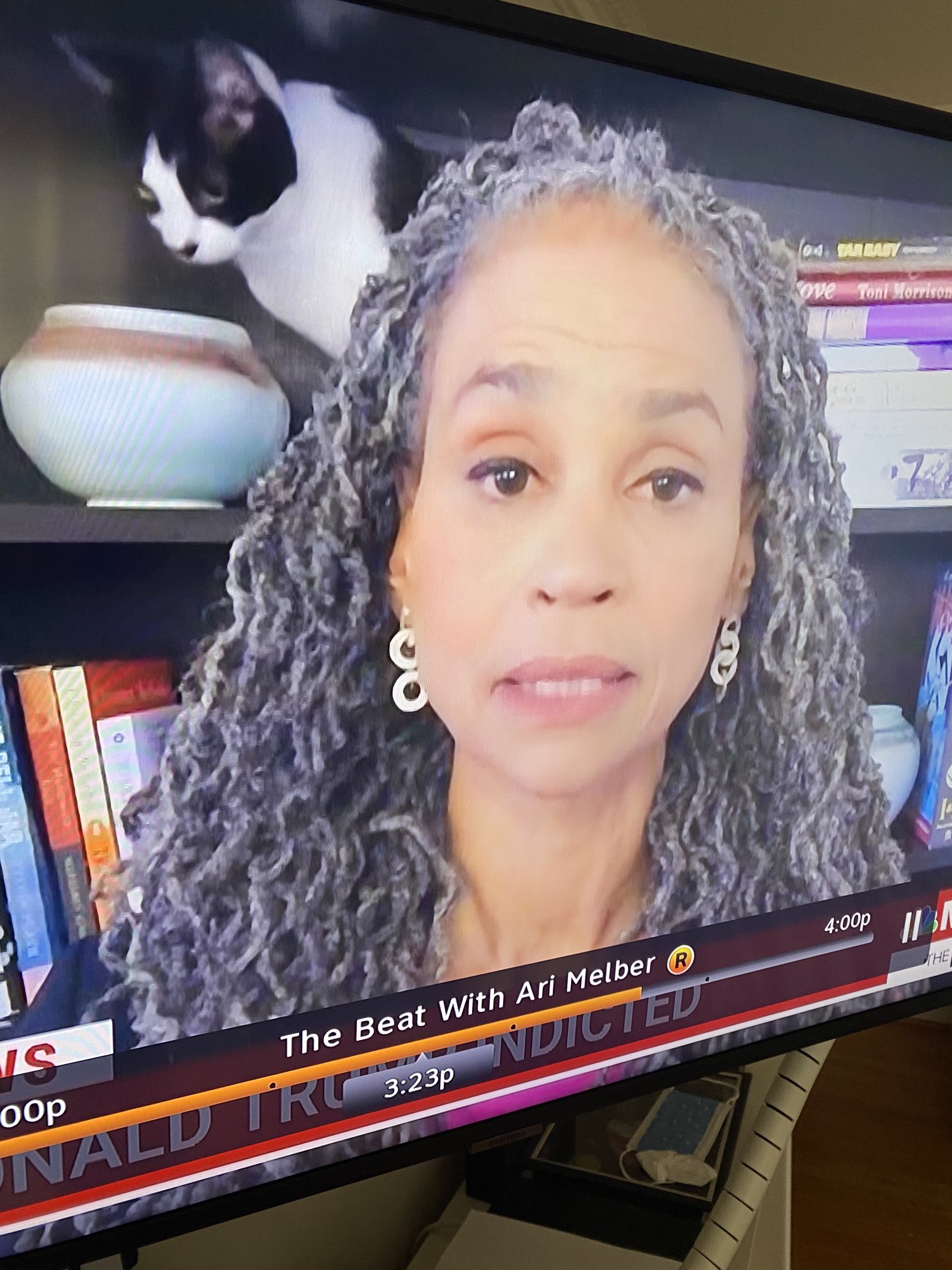 Brian Lowry on Twitter: "Maya Wiley’s cat will soon have a 6-episode commitment on Peacock ...