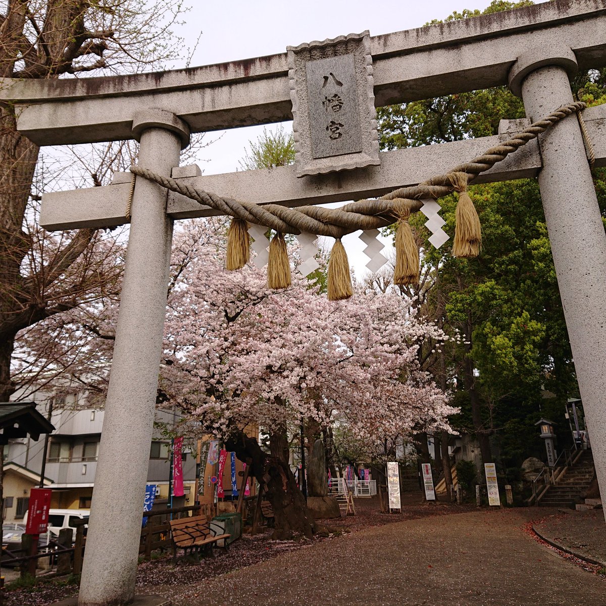 はち(@yoshi_pi) - Twilog