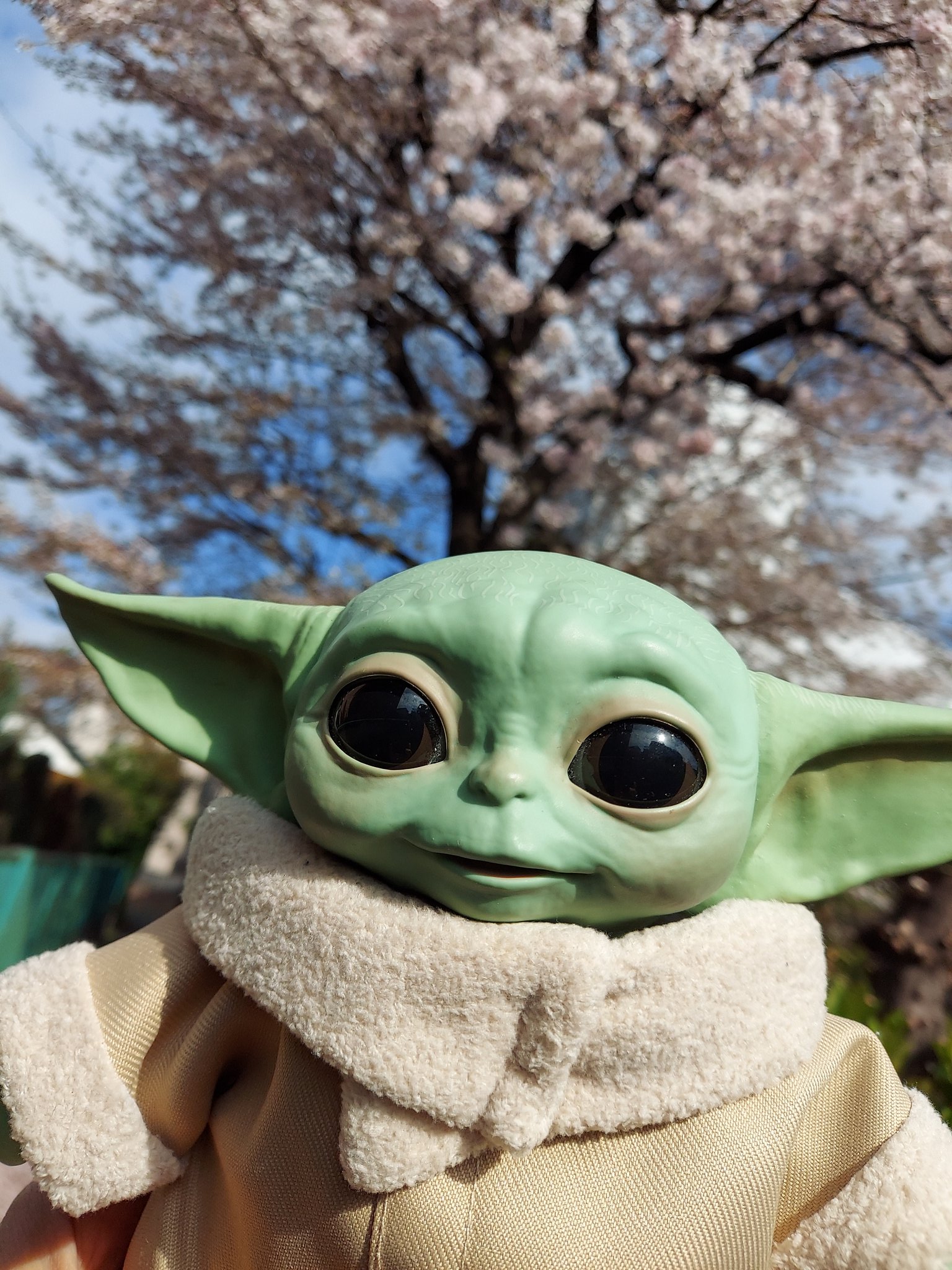 オコジョ (@okojo_sw) / Twitter