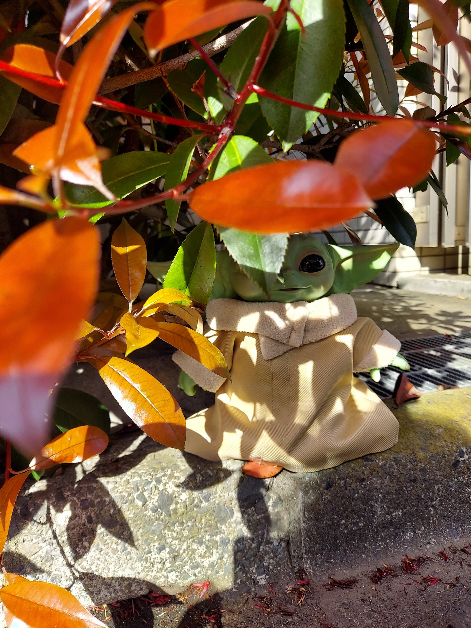 オコジョ (@okojo_sw) / Twitter