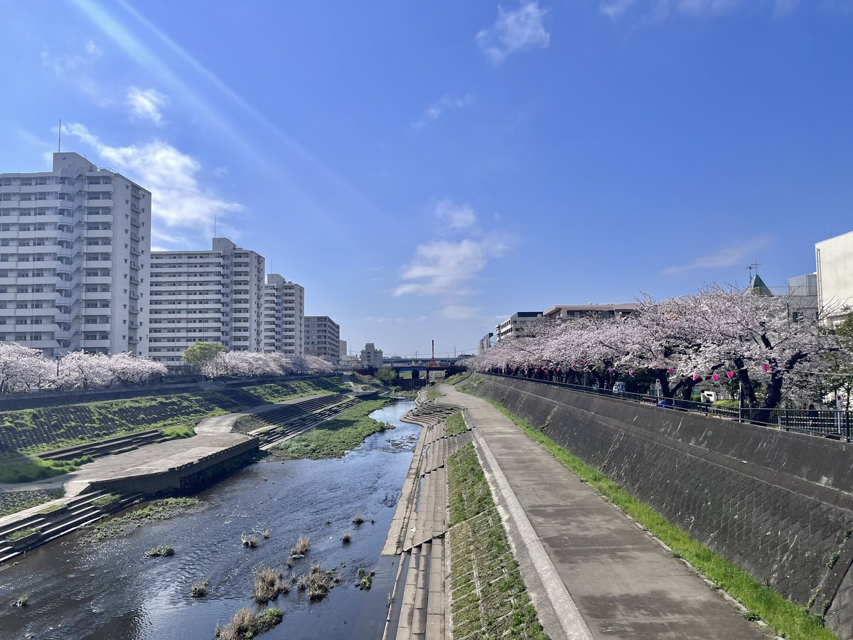 横浜市戸塚区役所(@yokohama_ttk) - Twilog (ツイログ)