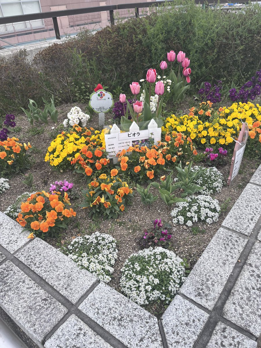 あま(疲弊中(@amaterasu_777) - Twilog (ツイログ)