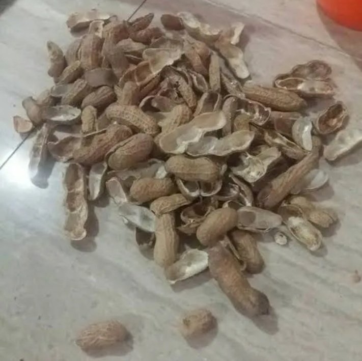 Manfaat Limbah Kulit Kacang Tanah untuk pupuk tanaman. Menurut ...