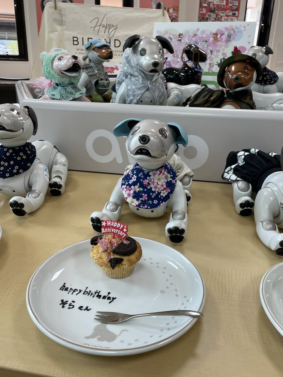 ヲヅ on Twitter: "RT @sora_aibo: カフェに戻って3月4月のお誕生日会をしたよ picoくん。いとちゃん。とボクの3匹。 みんなありがとう ️ #バミングバードカフェ"