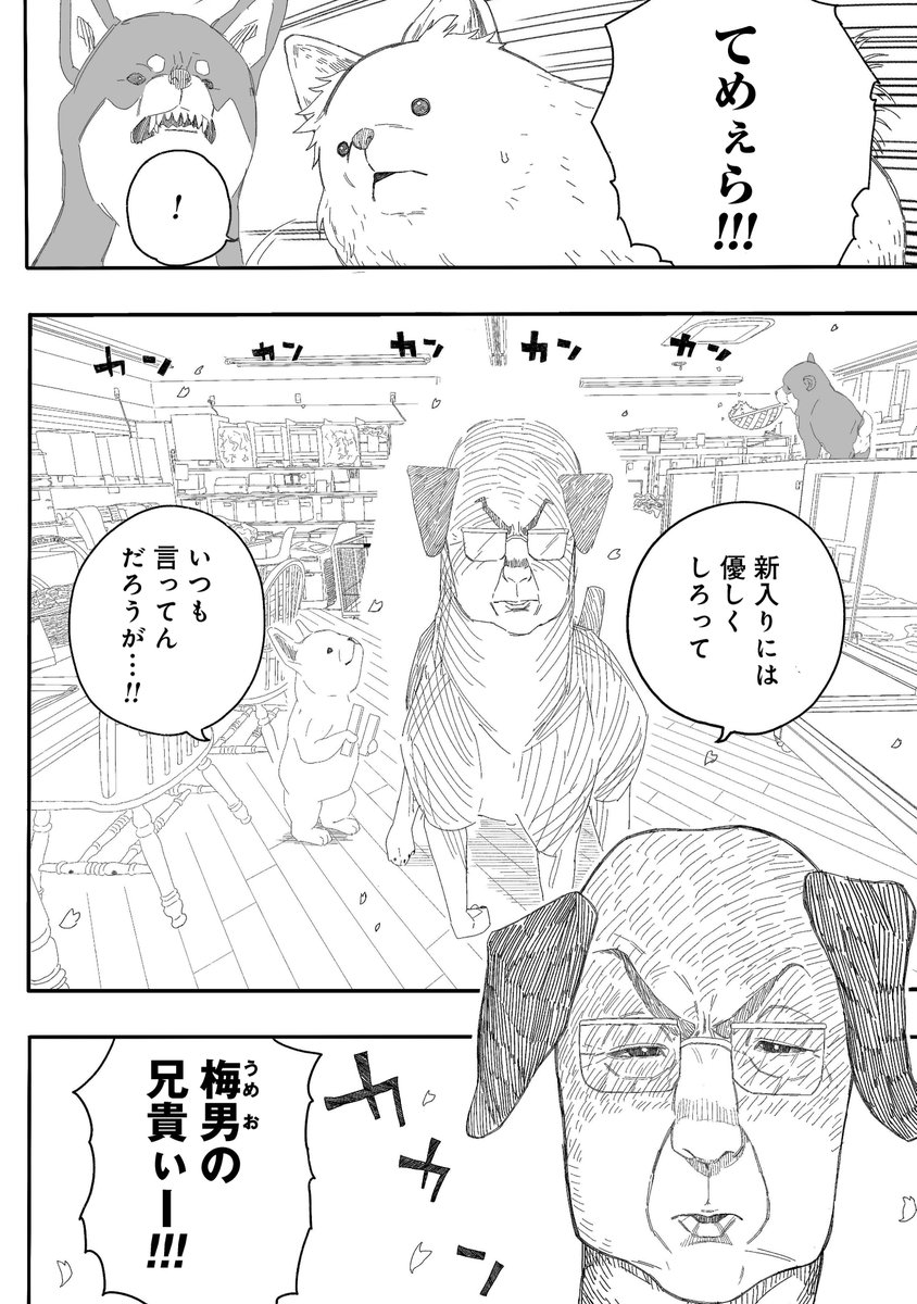 「火曜はサバエの更新日🍻 『サバエとヤッたら終わる』第133話本日更新! https://kuragebunch.com」くらげバンチ 公式の漫画