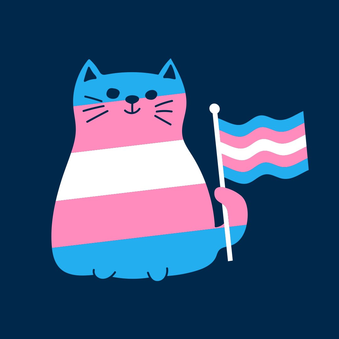 Custom Ink on Twitter: "March 31st marks the International Trans Day of Visibility. Even beyond ...