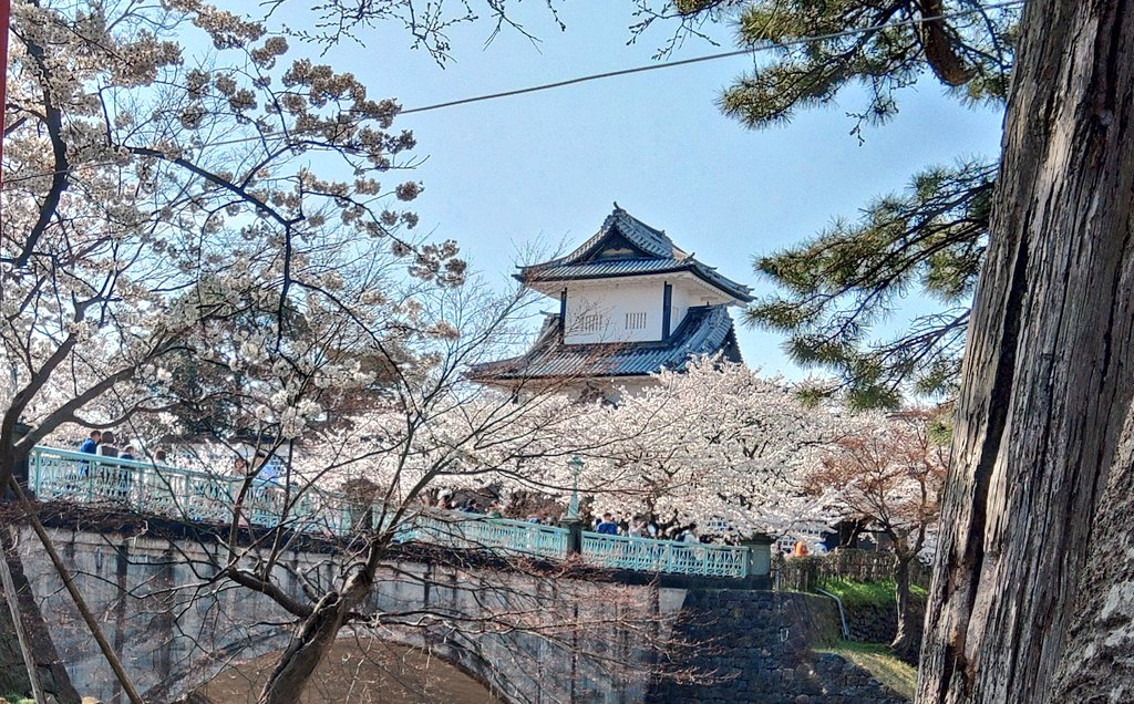 MIMILO フロムヤクトイシカワ(@MIMILOveria) - Twilog