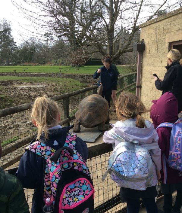 Welcome to Manor Primary School