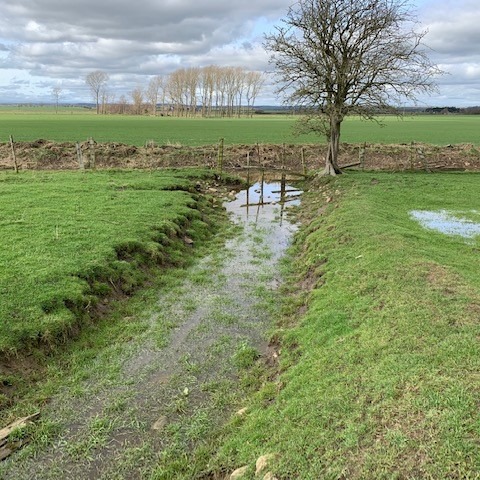 Natural England on Twitter: "We’ve just launched a new nutrient mitigation scheme to help ...