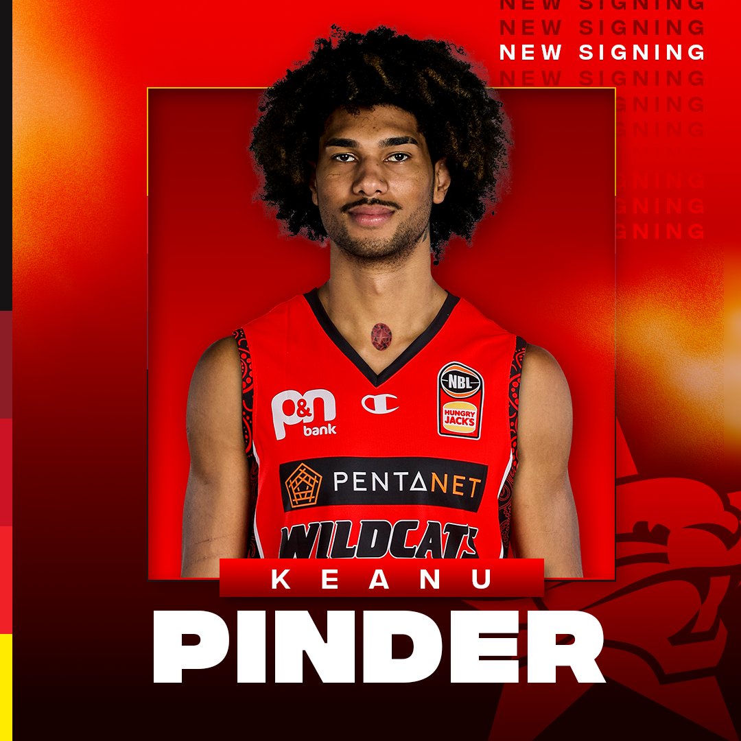 Perth Wildcats on Twitter: "KEANU IS A CAT. 😼 The Perth Wildcats are thrilled to announce the ...