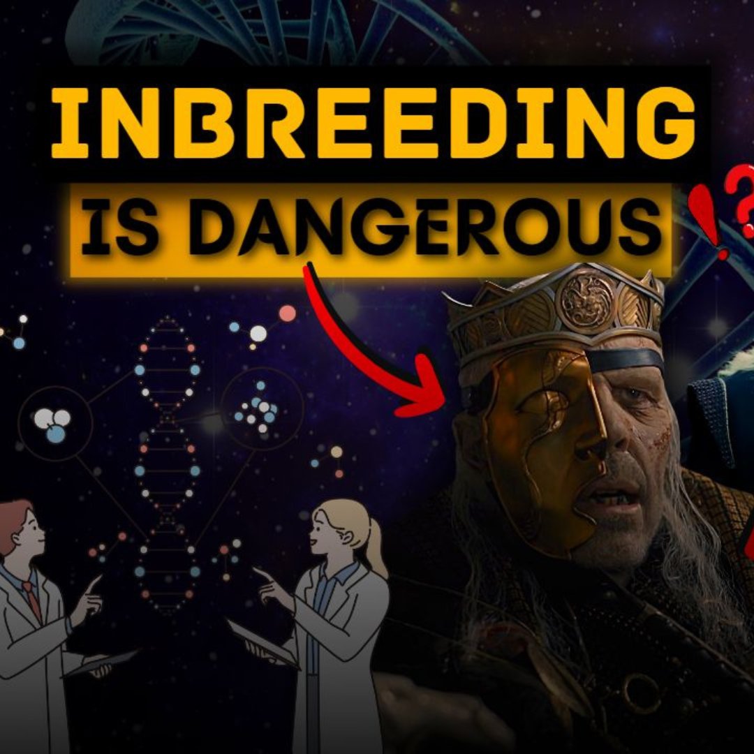 Inbreeding (mating between close relatives in the same bloodlines ...