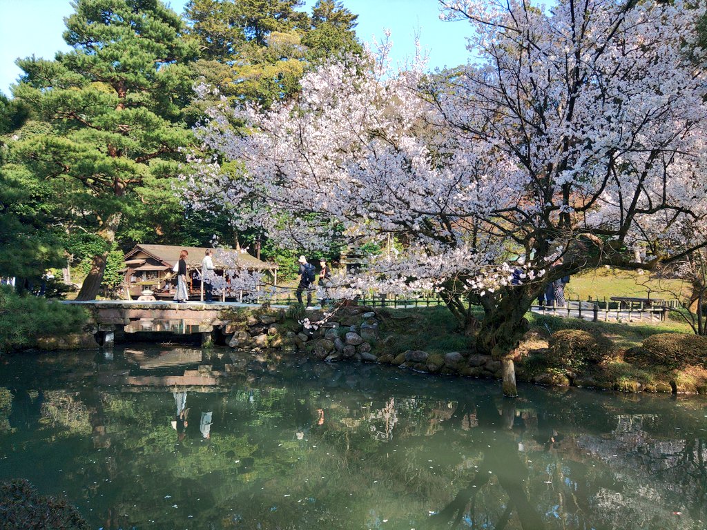 MIMILO フロムヤクトイシカワ(@MIMILOveria) - Twilog