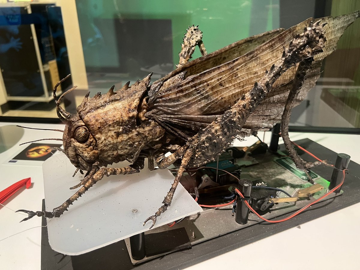 Giant Prehistoric Bugs