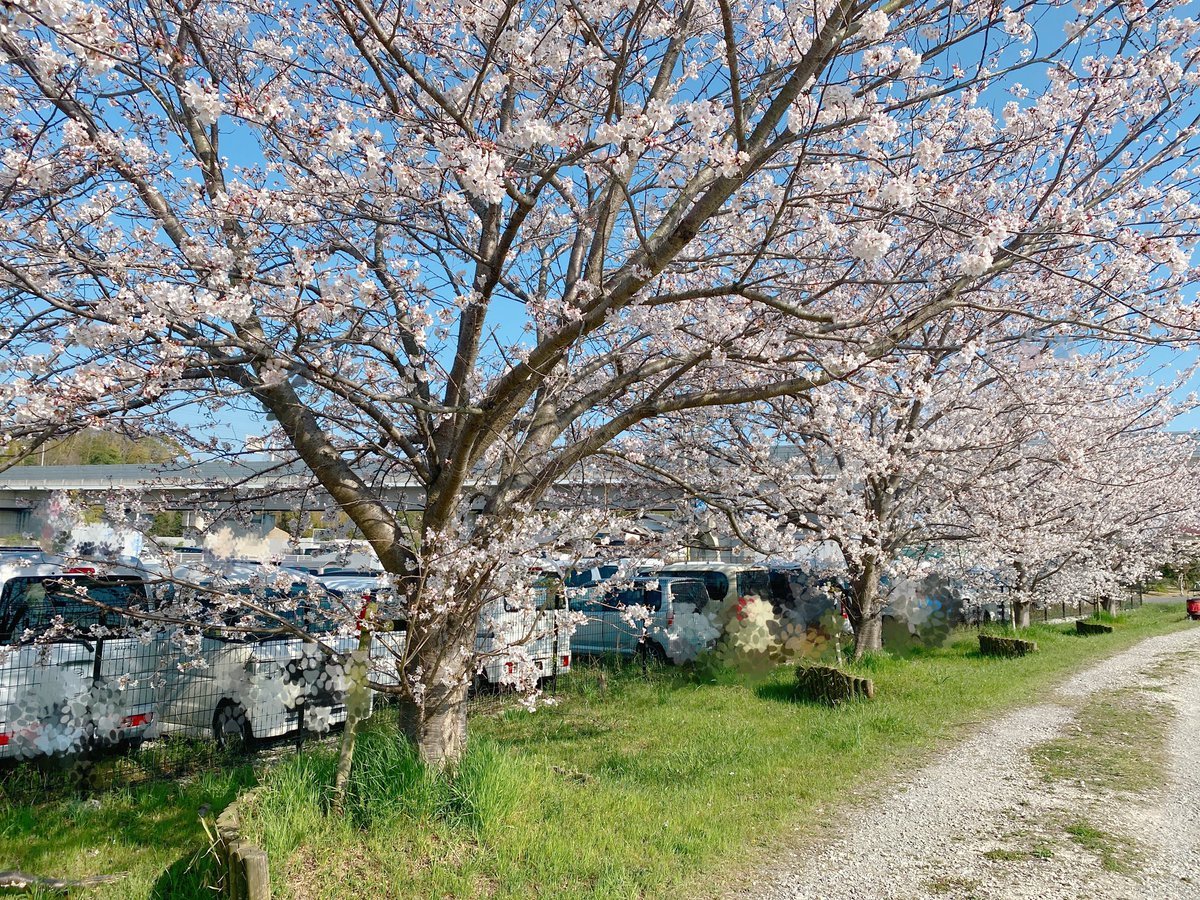 イチ にこ(@ichi__1102) - Twilog (ツイログ)