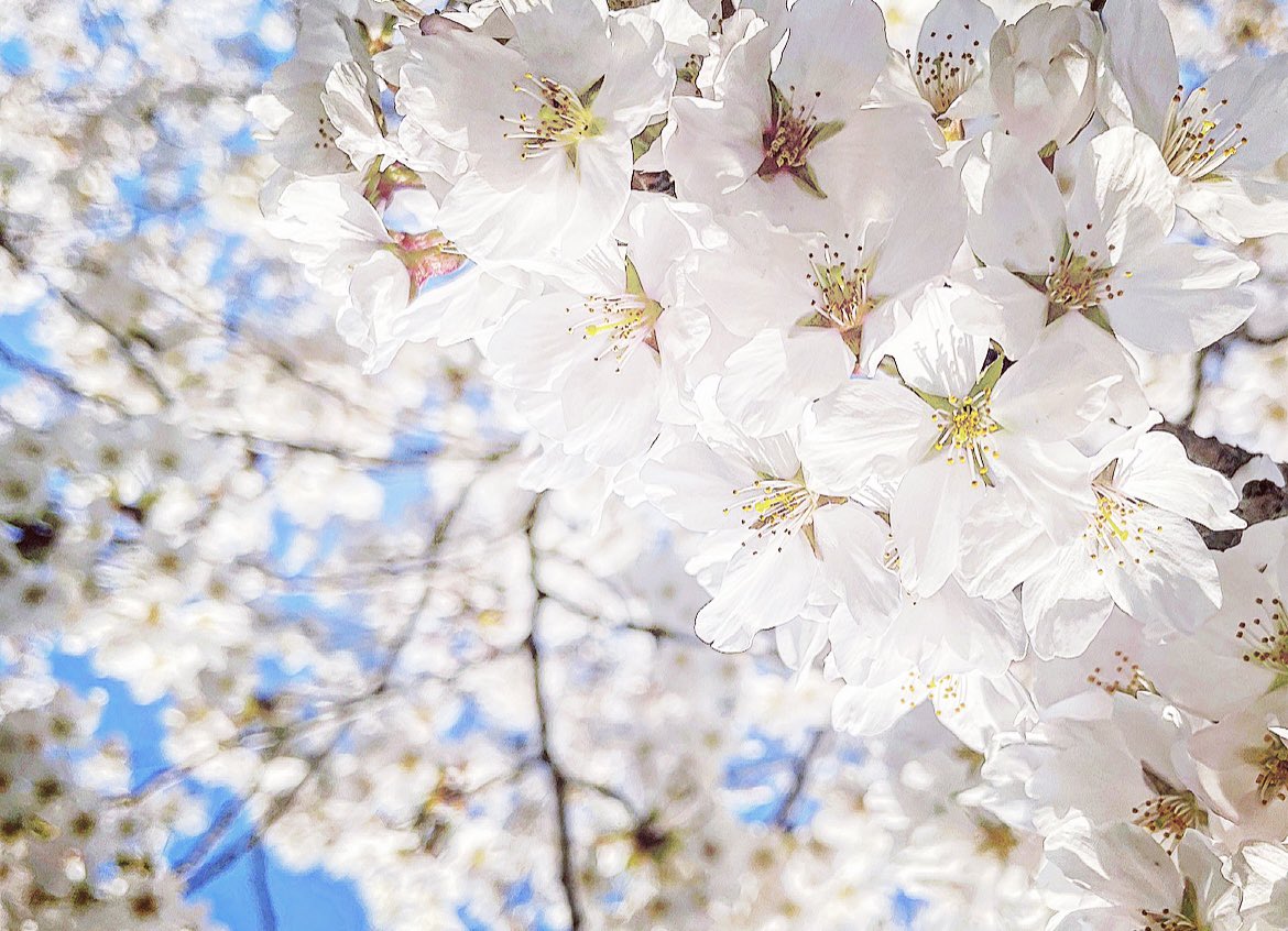 中トトロ(@105feet) - Twilog