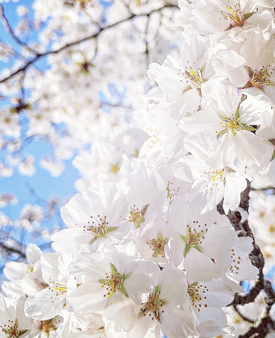 中トトロ(@105feet) - Twilog