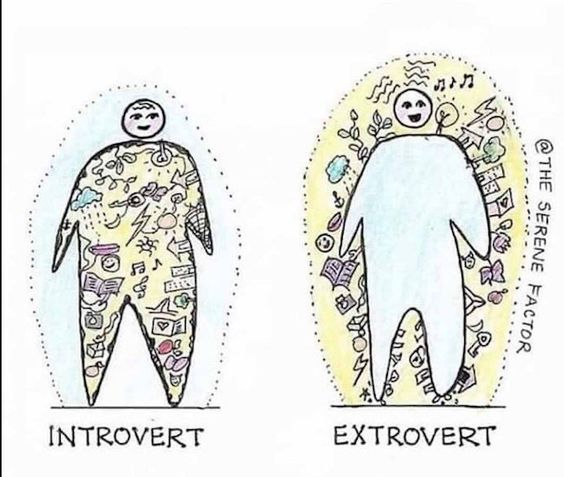 Are you an introvert who's tired of being misunderstood? Or an ...