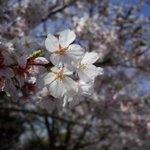 2023 03 31 - traces blog