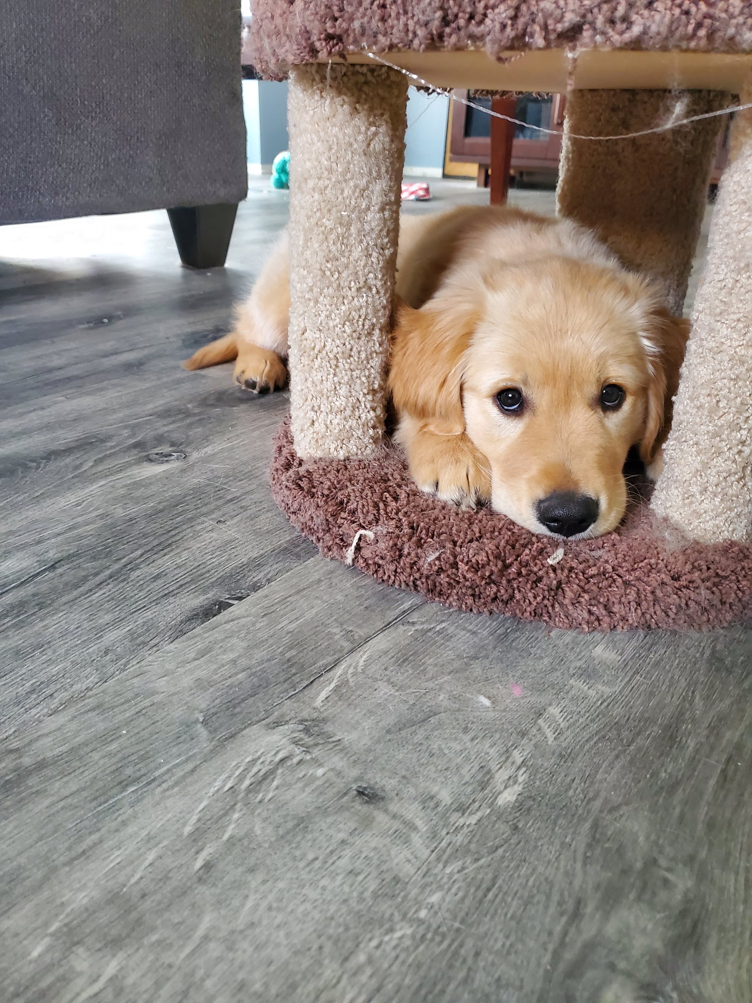 Jaynee Keyori Dans La Vraie Vie