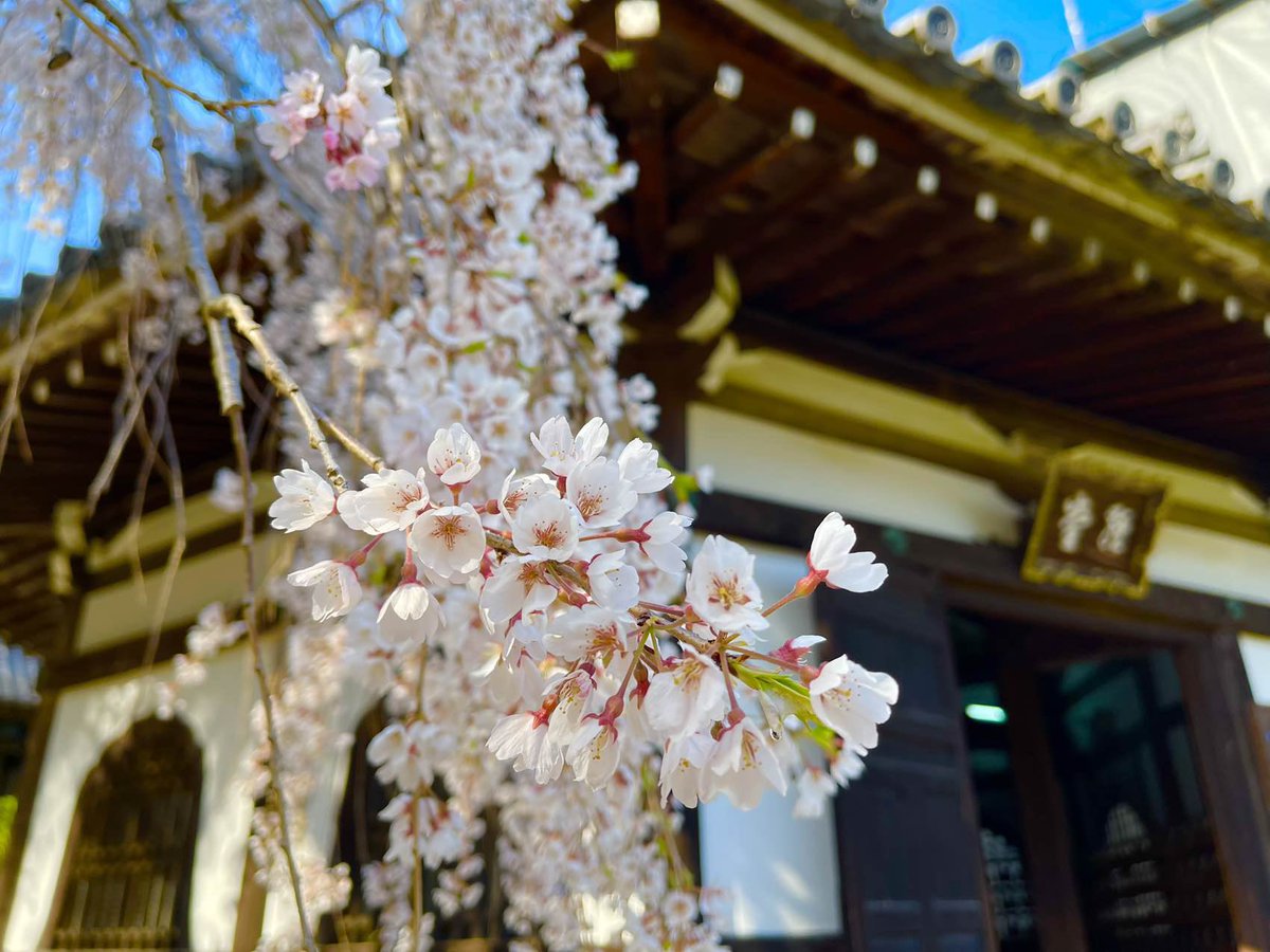 井上 裕太 / Yuta Inoue(@yutainoue) - Twilog (ツイログ)