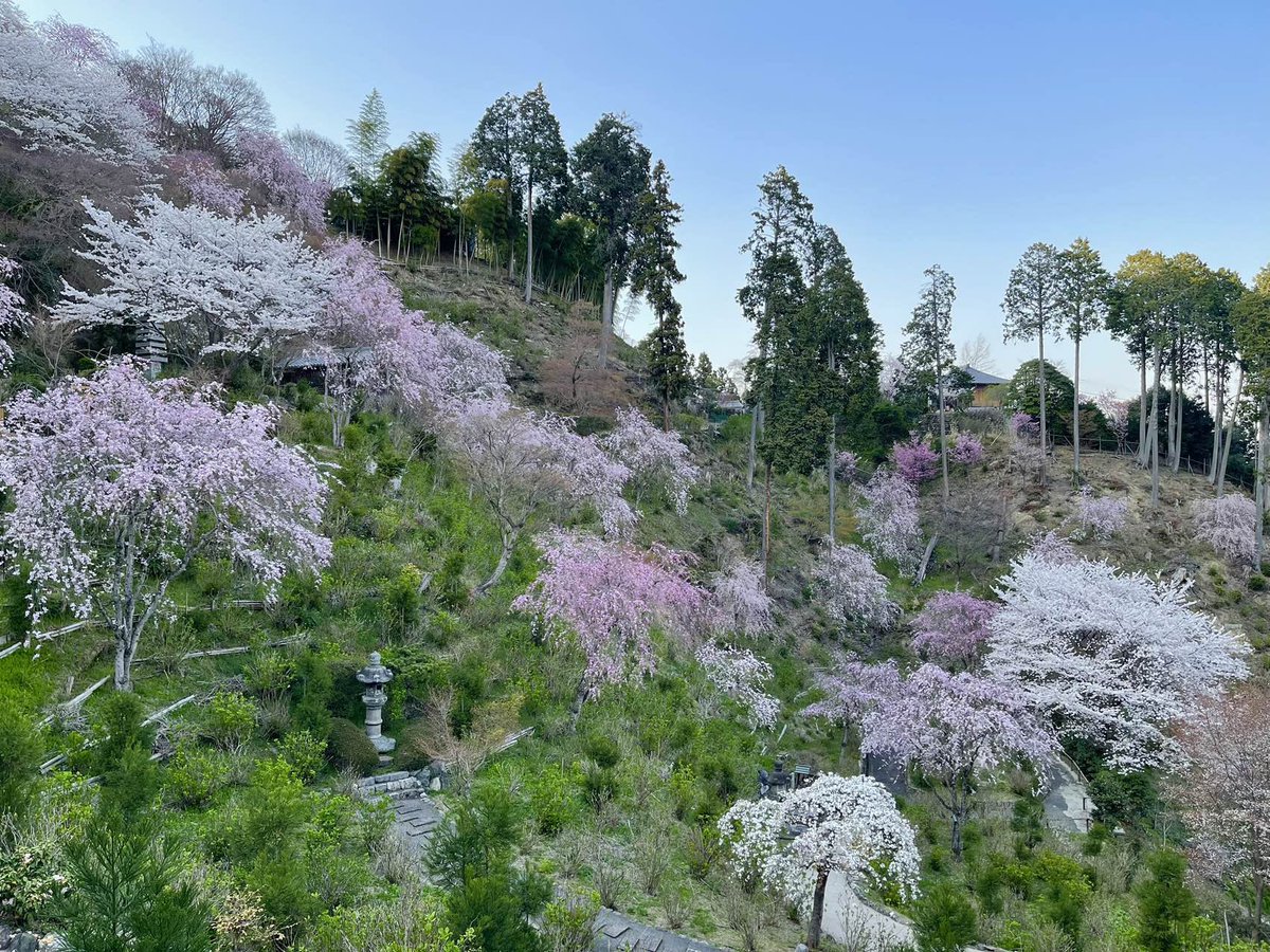 井上 裕太 / Yuta Inoue(@yutainoue) - Twilog (ツイログ)