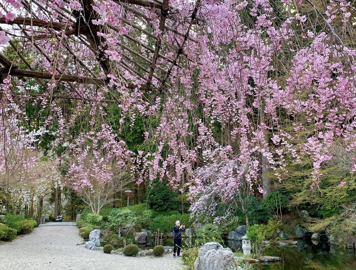 井上 裕太 / Yuta Inoue(@yutainoue) - Twilog (ツイログ)