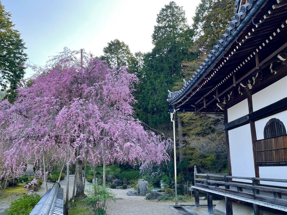 井上 裕太 / Yuta Inoue(@yutainoue) - Twilog (ツイログ)