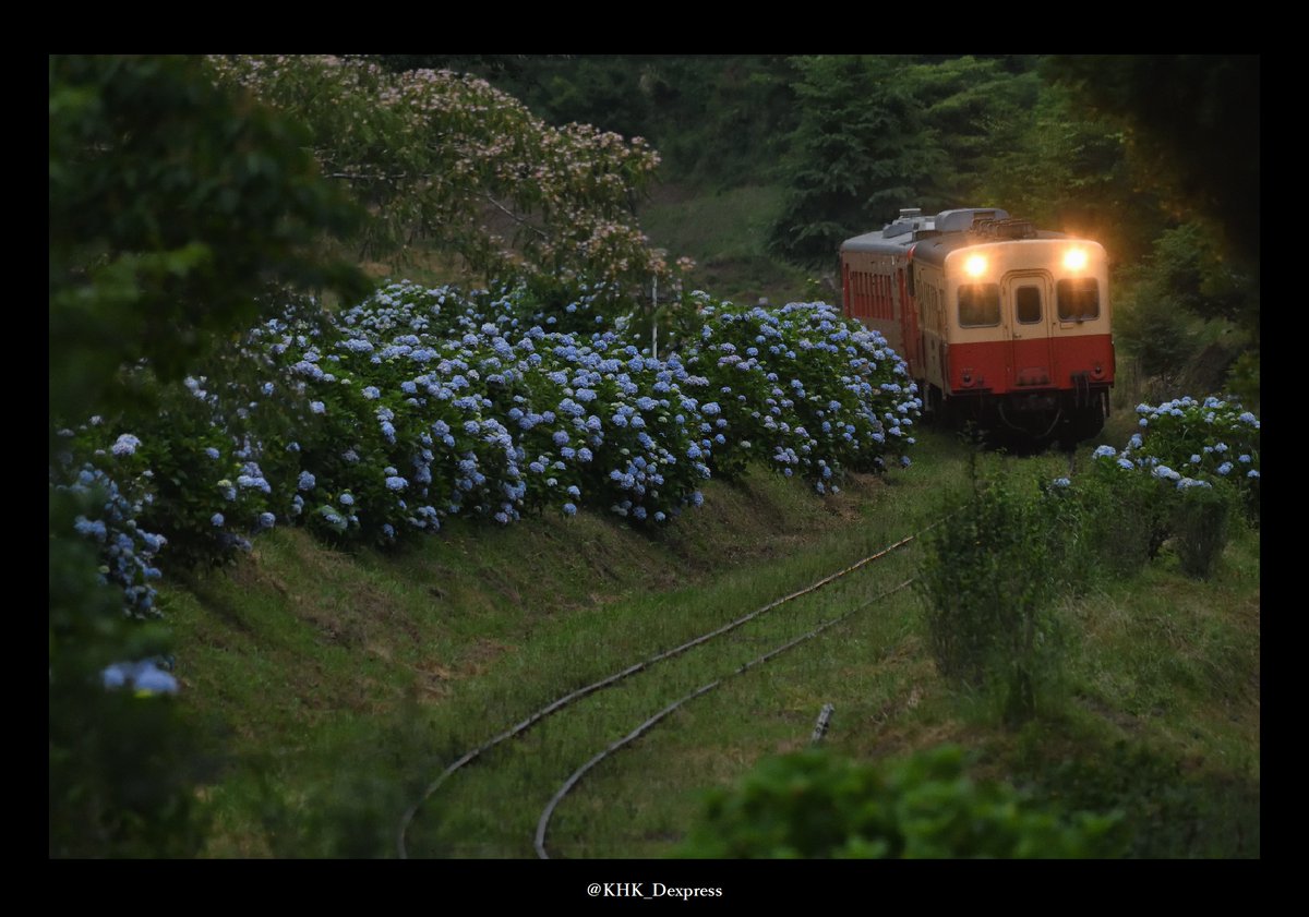 D急(@KHK_Dexpress) - Twilog (ツイログ)