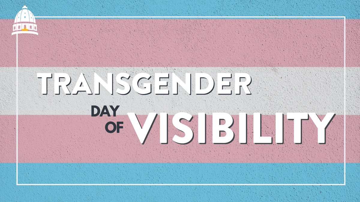 Minnesota Senate Dfl On Twitter To The Transgender Nonbinary And