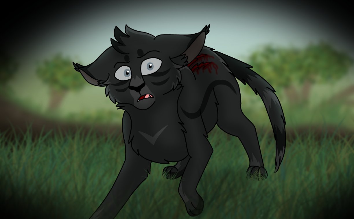 Warrior Cats Reedwhisker