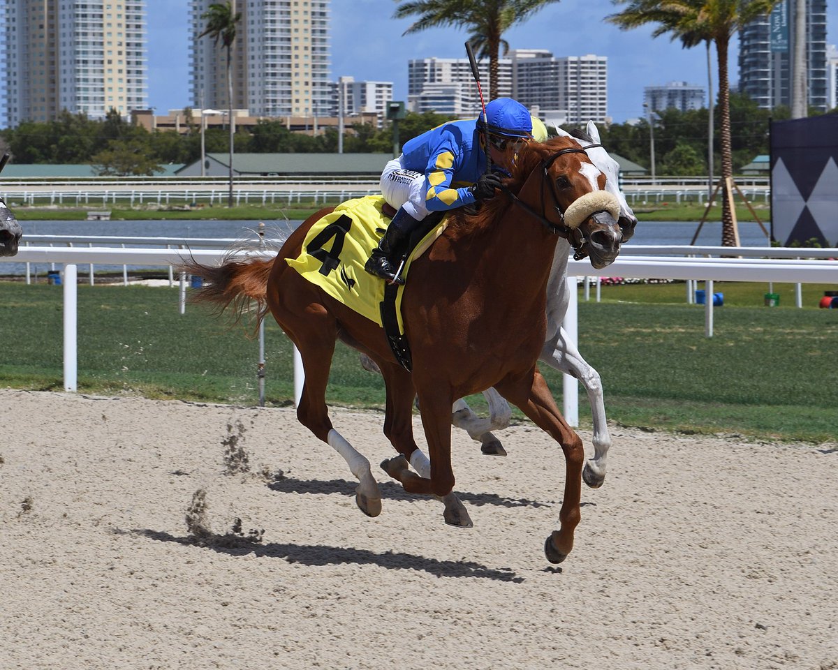 Gulfstream Park on Twitter: "Miscreant, with Javier Castellano @jjcjockey, scores in race 2 ...