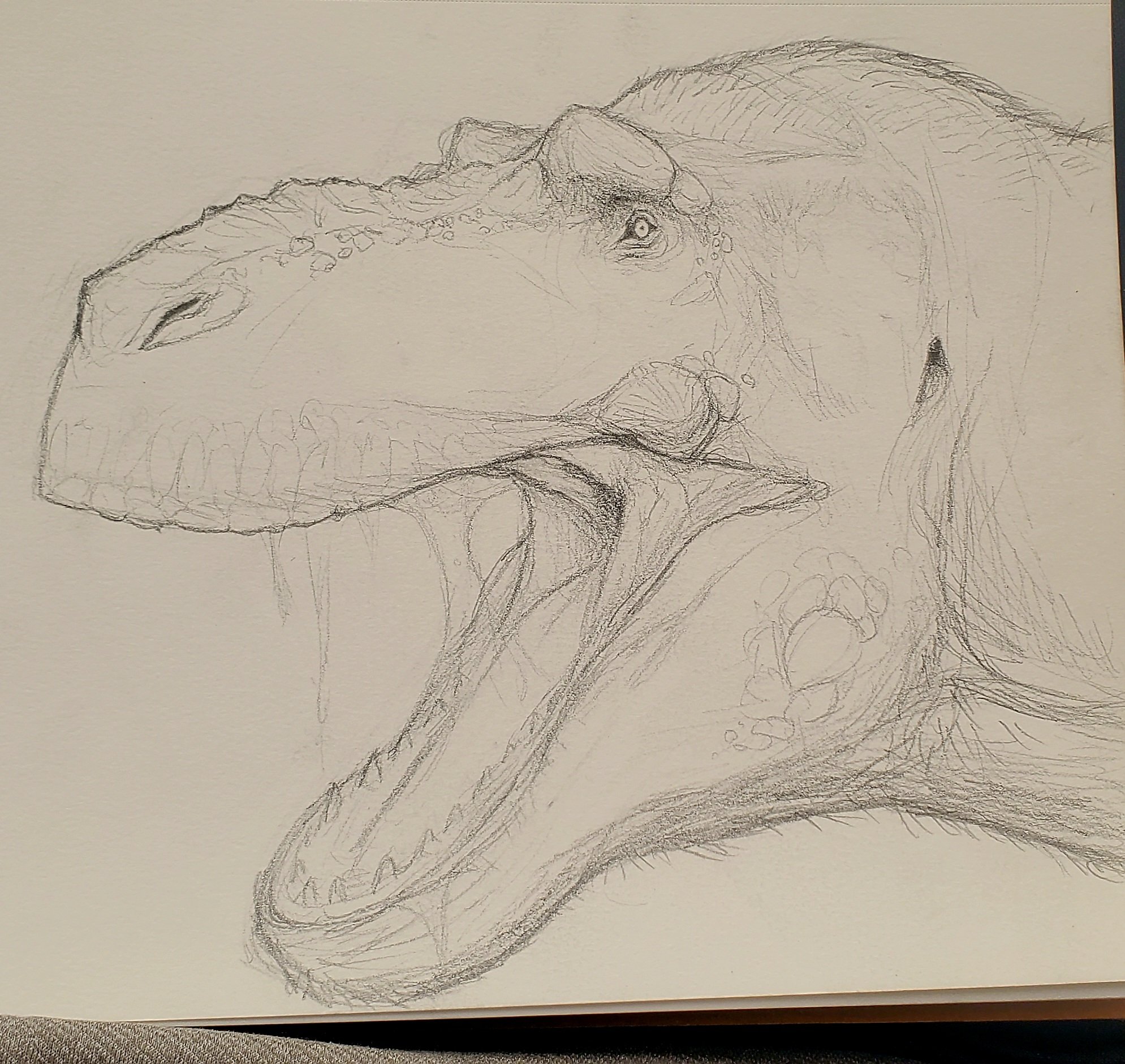 Vastatosaurus Rex Drawing
