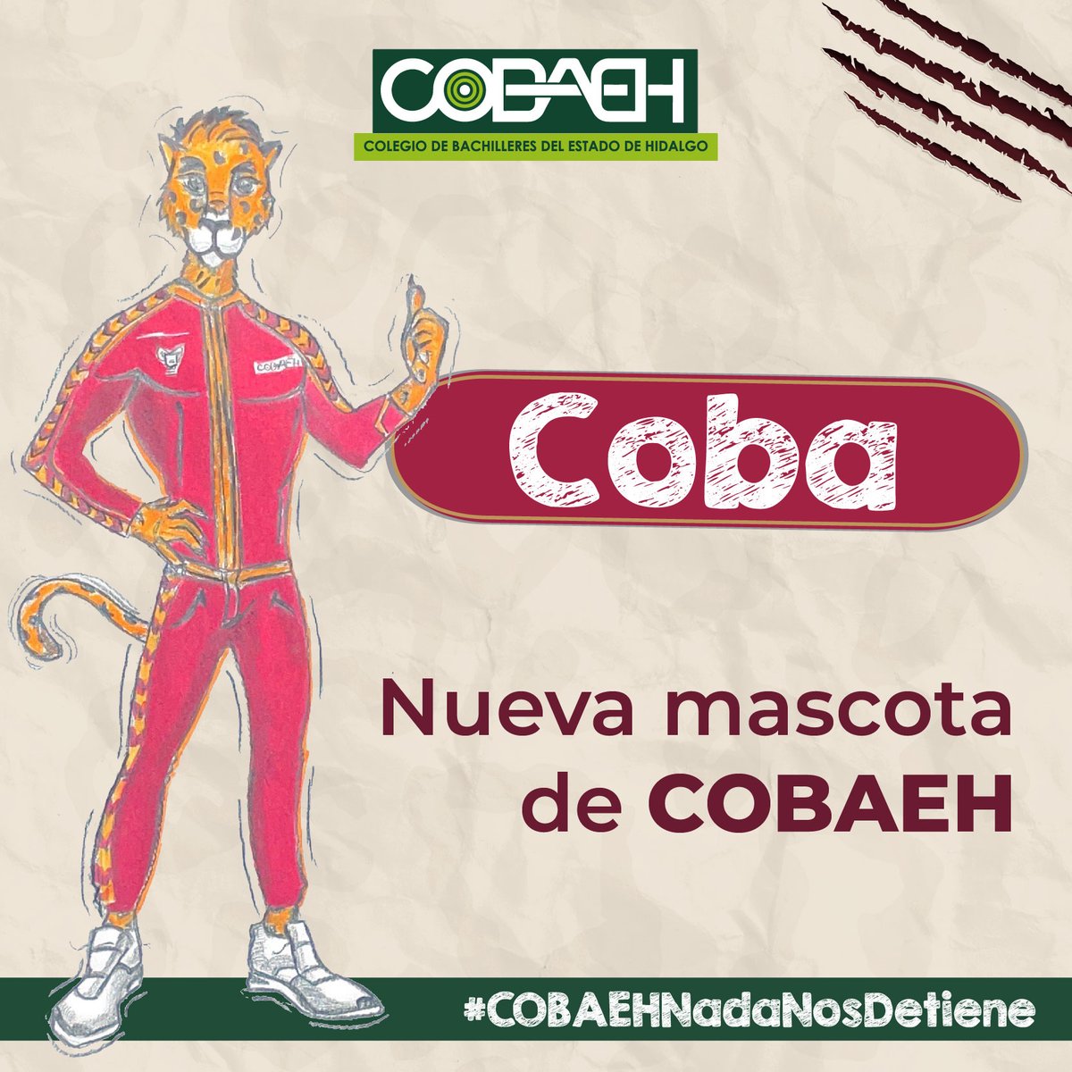 Logotipo De Cobaeh Lucy Smith CHAFE 150 Gran Fondo