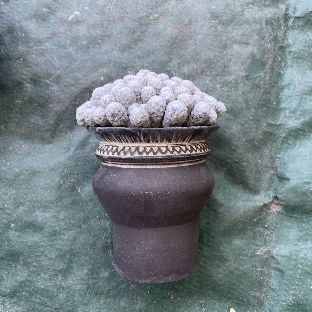 macca(@macca_aka) - Twilog (ツイログ)