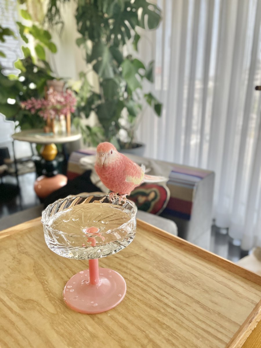 macca(@macca_aka) - Twilog (ツイログ)